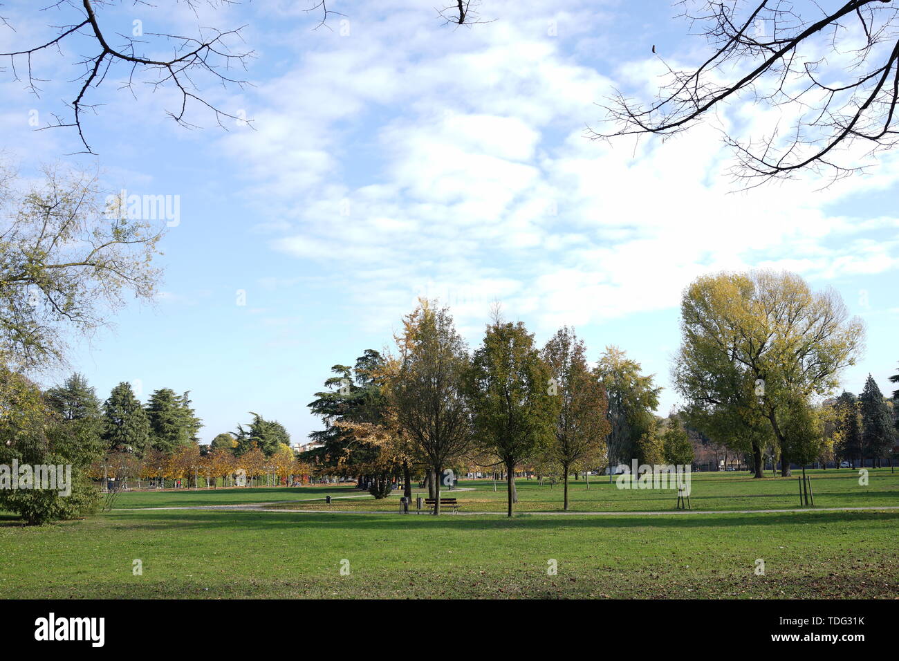 Insistence hi-res stock photography and images - Alamy