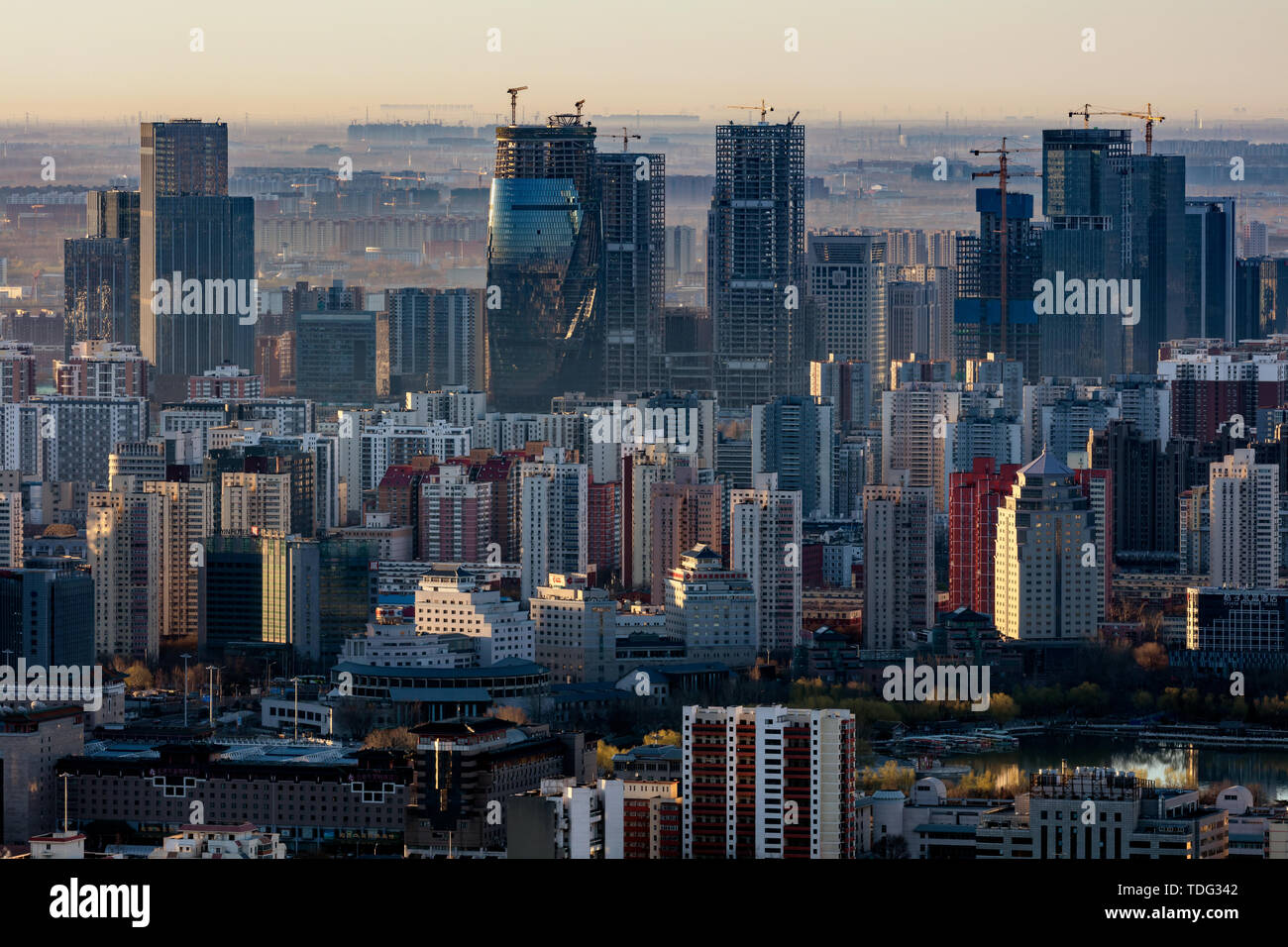 Lizer hi-res stock photography and images - Alamy