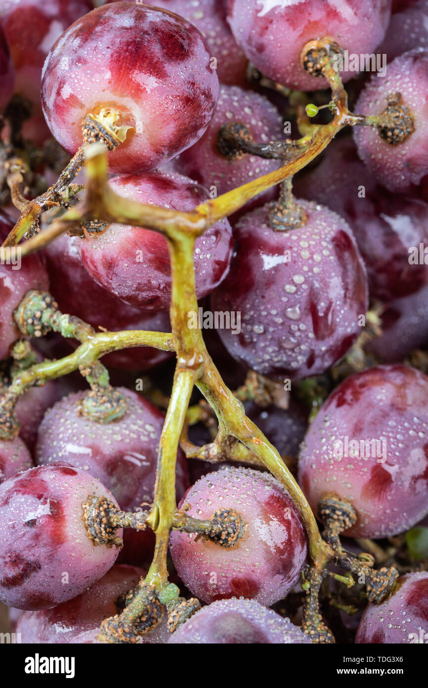 Crimson raisins hi-res stock photography and images - Alamy