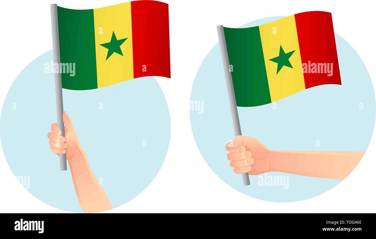 Senegal flag in hand. Patriotic background. National flag of Senegal ...