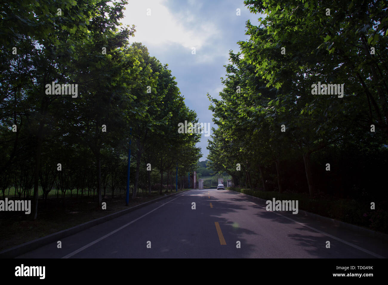 Car light wood landscape landscape of expressway hi-res stock ...