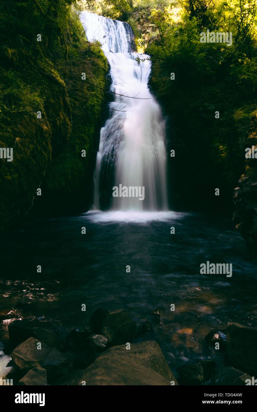 Beautiful pure waterfall in an exotic tropical forest with a lake Stock ...