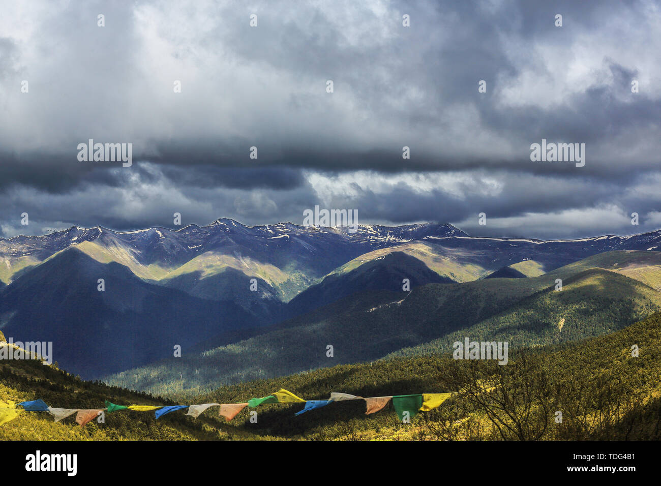 Nature yingzhi scenery hi-res stock photography and images - Alamy