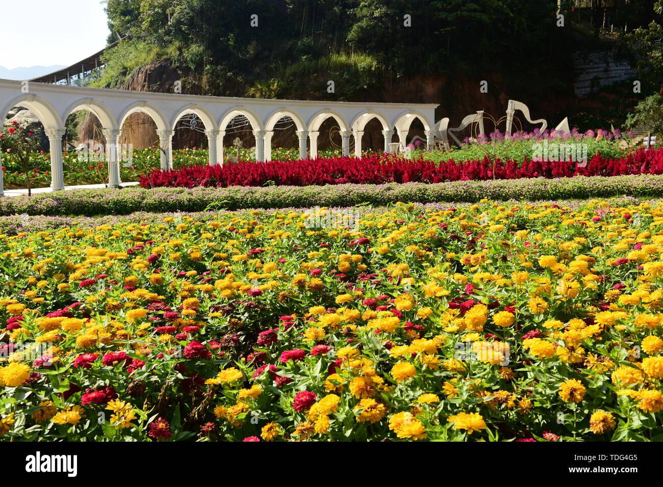 Flower Sea Promenade Stock Photo - Alamy