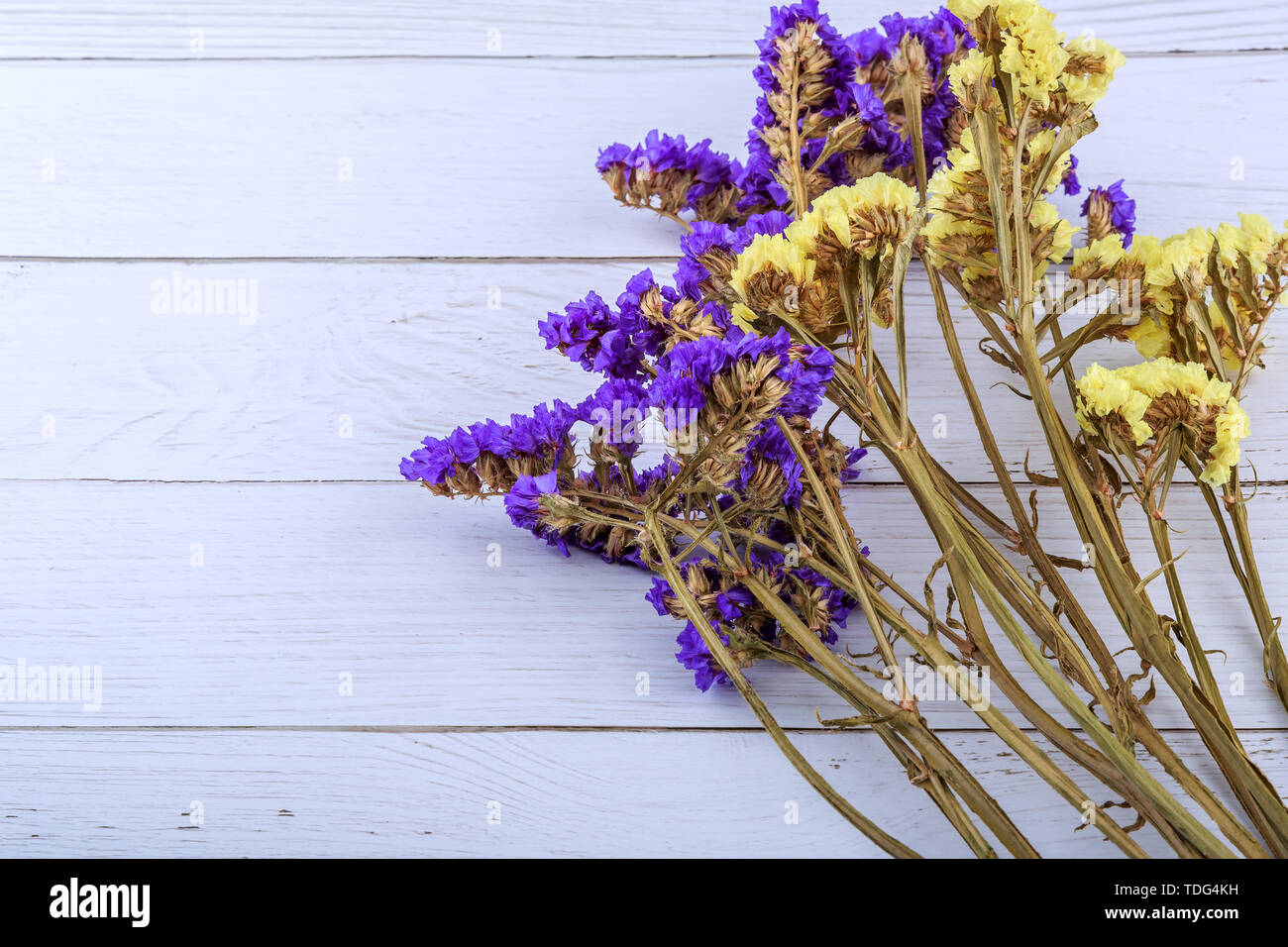 Dry flower background material Stock Photo - Alamy