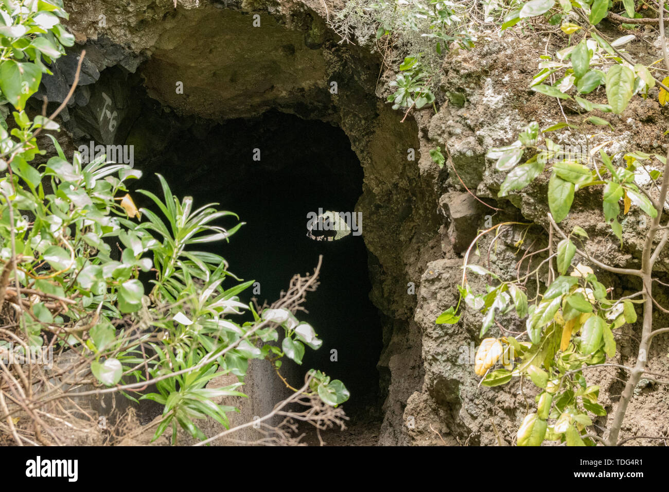 An old aqueduct now used as an adventure hiking trail Guimar valley ...