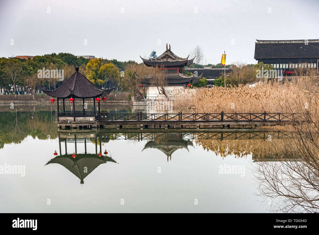 Shajiabang reed scenic spot hi-res stock photography and images - Alamy