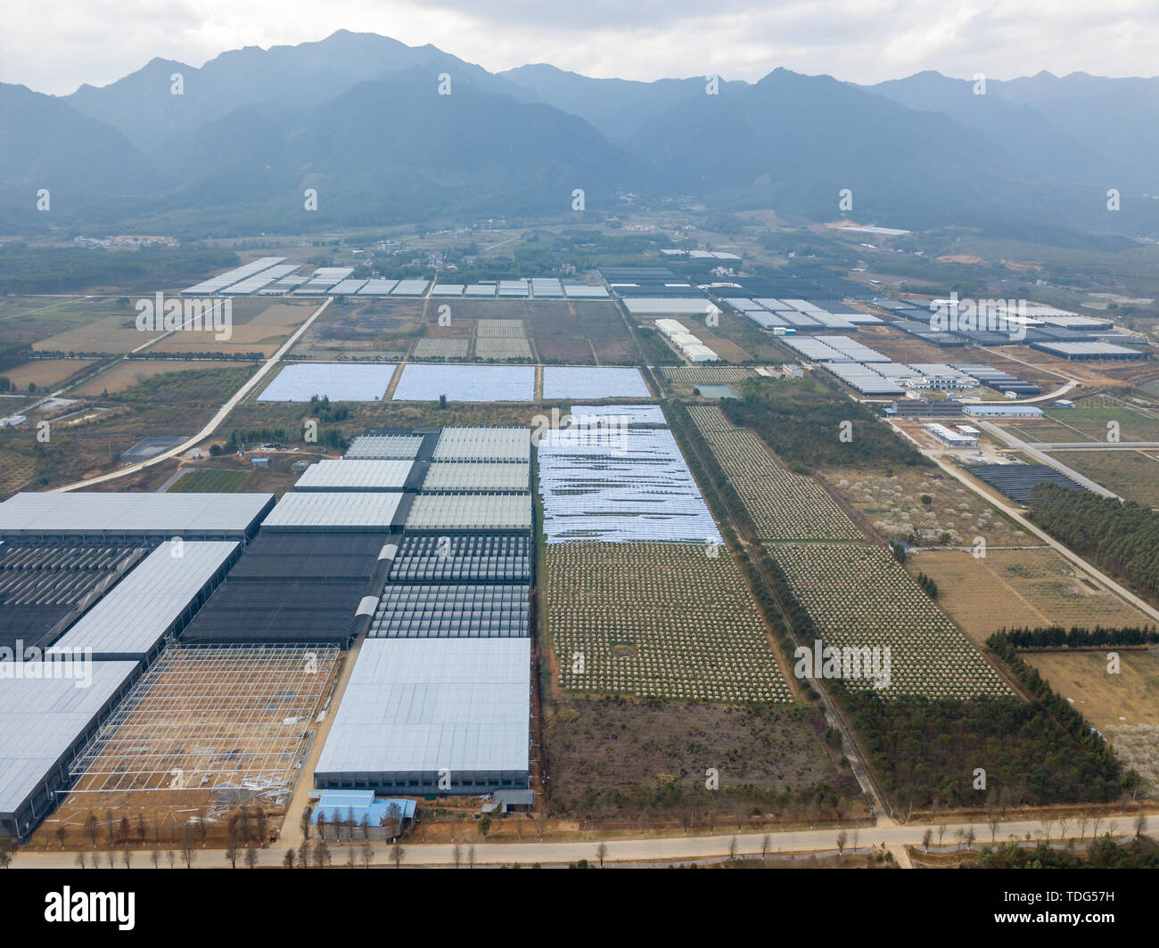 Large scale tree planting hi-res stock photography and images - Alamy