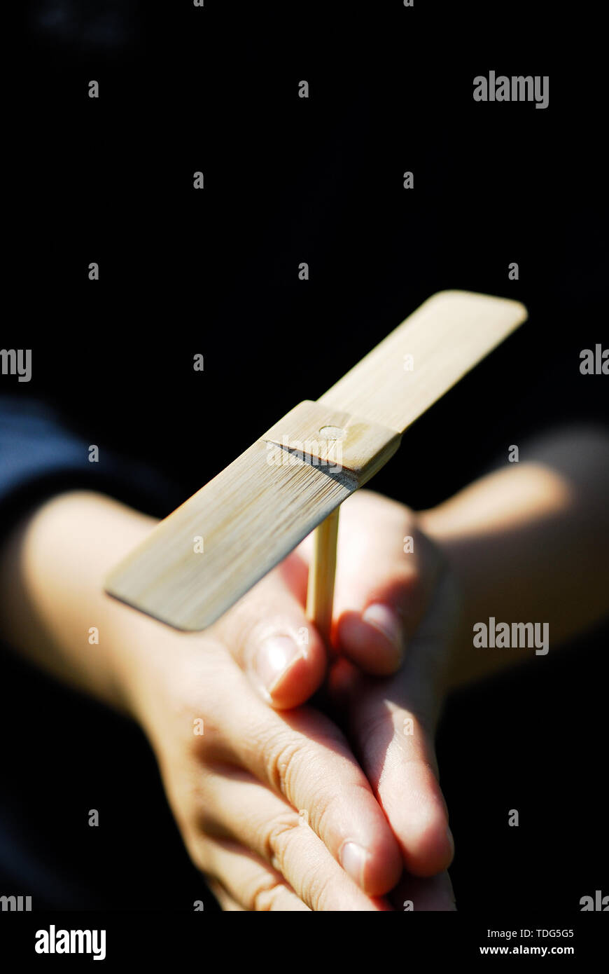 Homemade bamboo dragonfly Stock Photo - Alamy