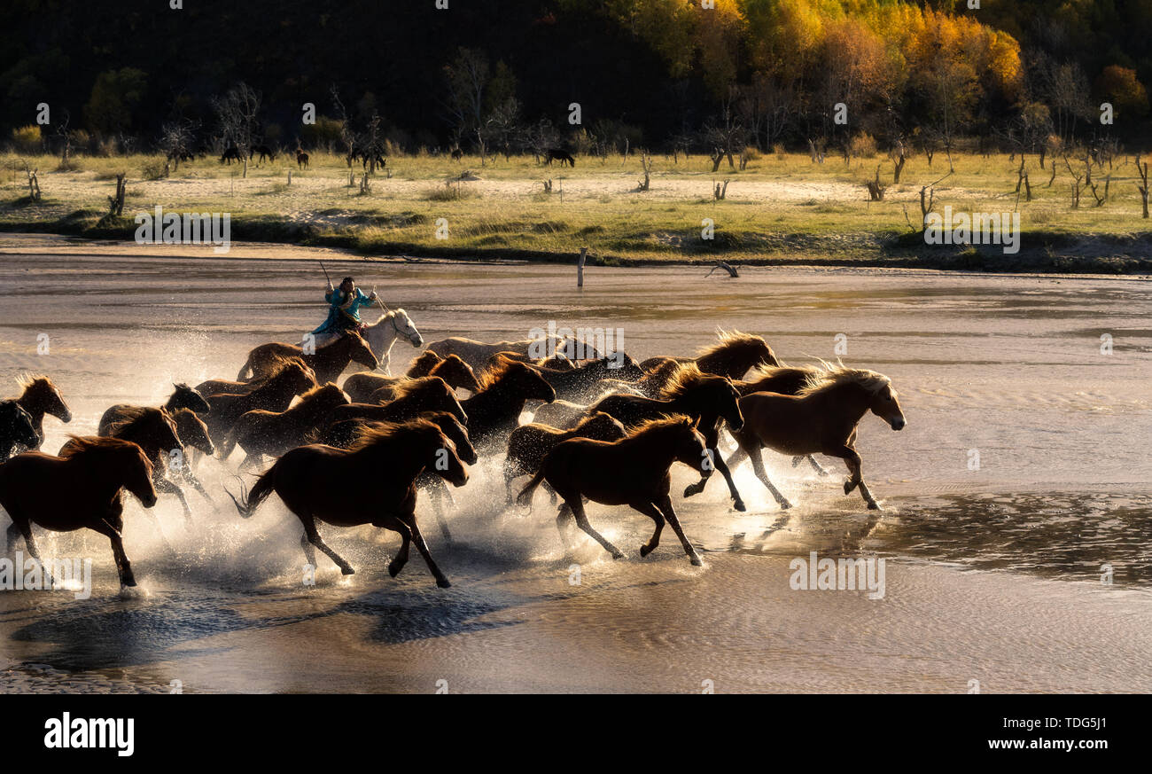 The wind on the barnacles Stock Photo - Alamy