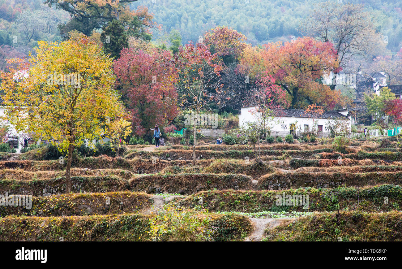 Putins palace hi-res stock photography and images - Alamy