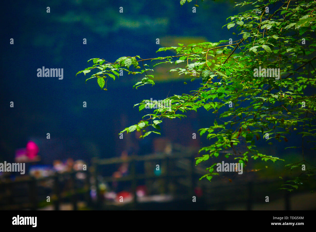 Photographer: Hu Wenkai Stock Photo - Alamy