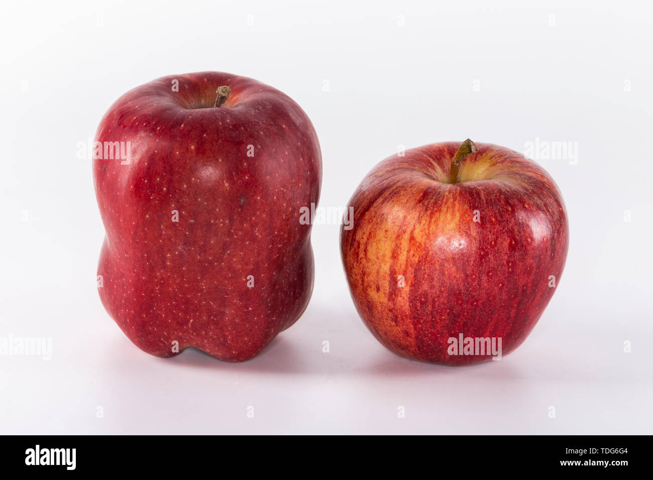 Pulp of fruits hi-res stock photography and images - Alamy