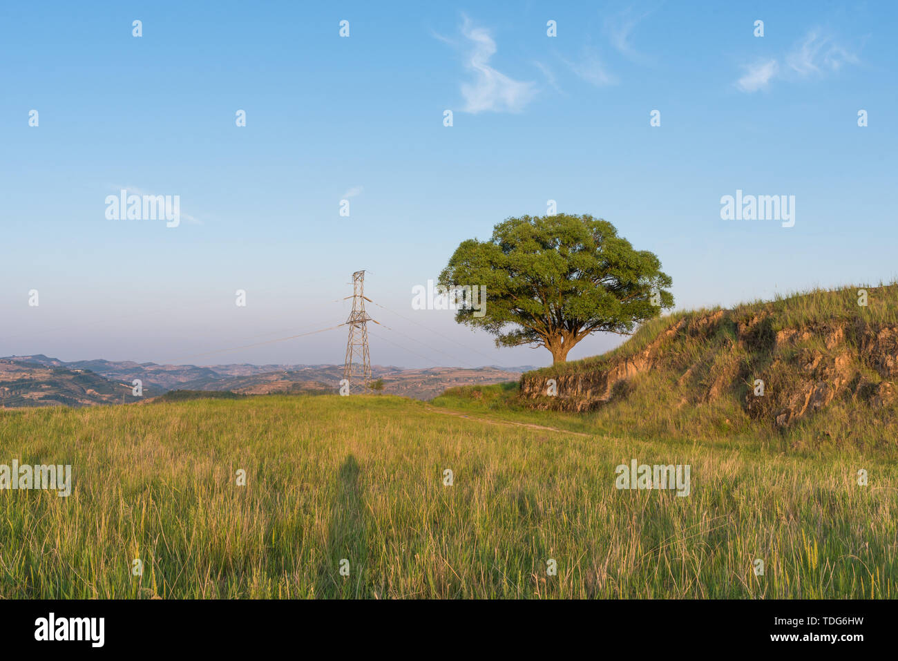 Outdoor Natural Ecological Scenery Stock Photo - Alamy