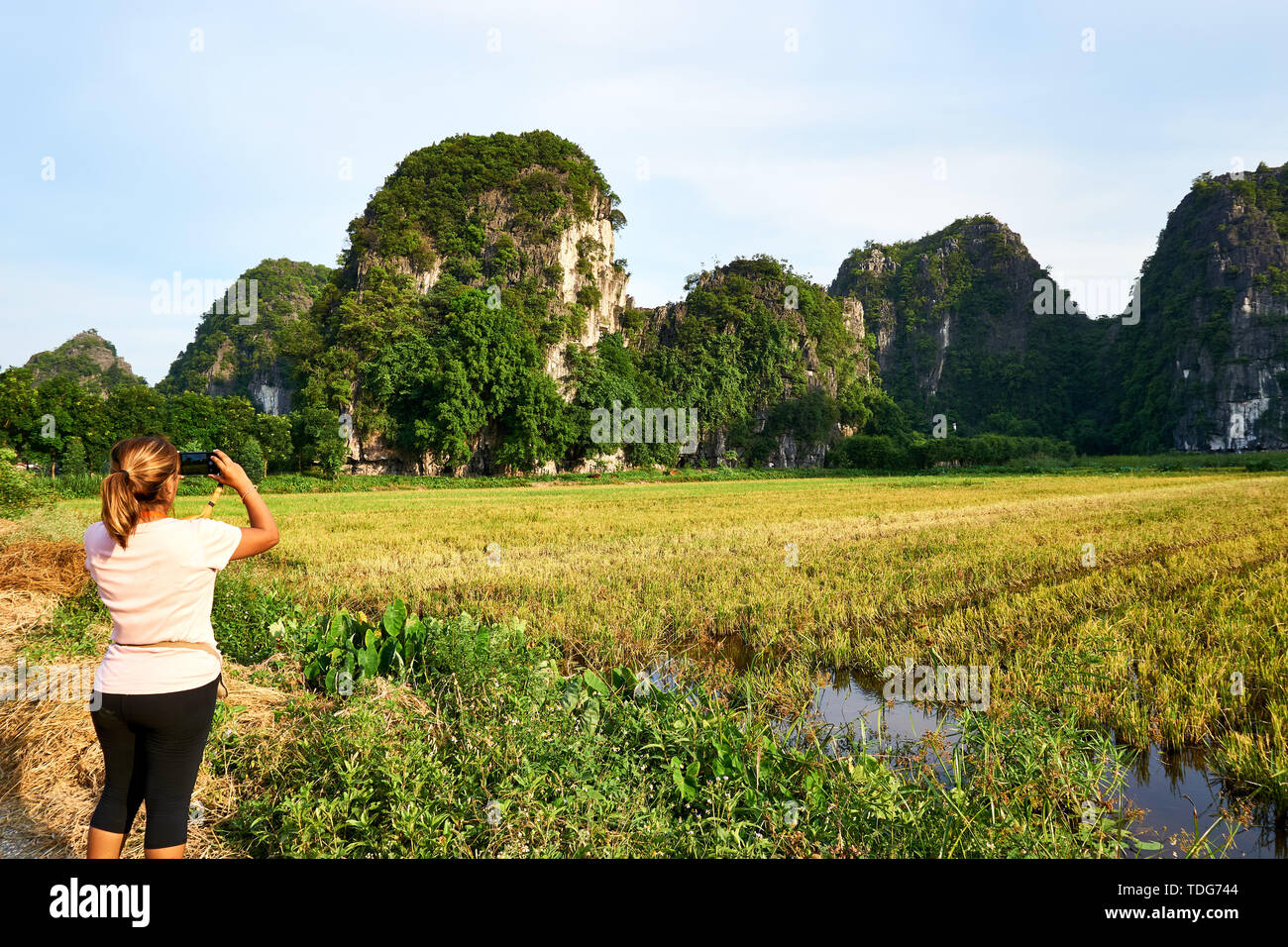 Landscape with mountains and Rice field in Tam Coc Vietnam Stock Photo ...