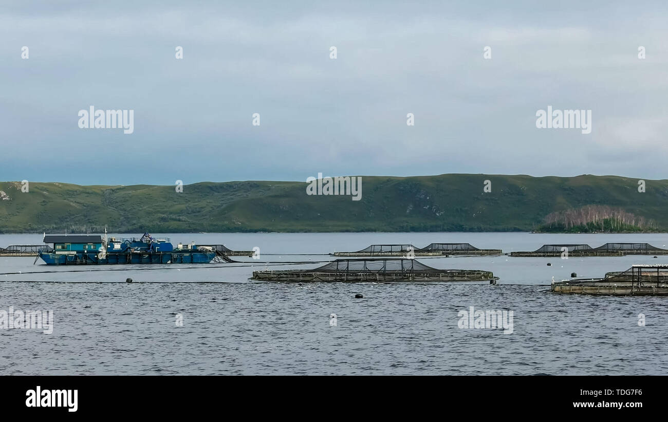 Fish farming pen hi-res stock photography and images - Alamy