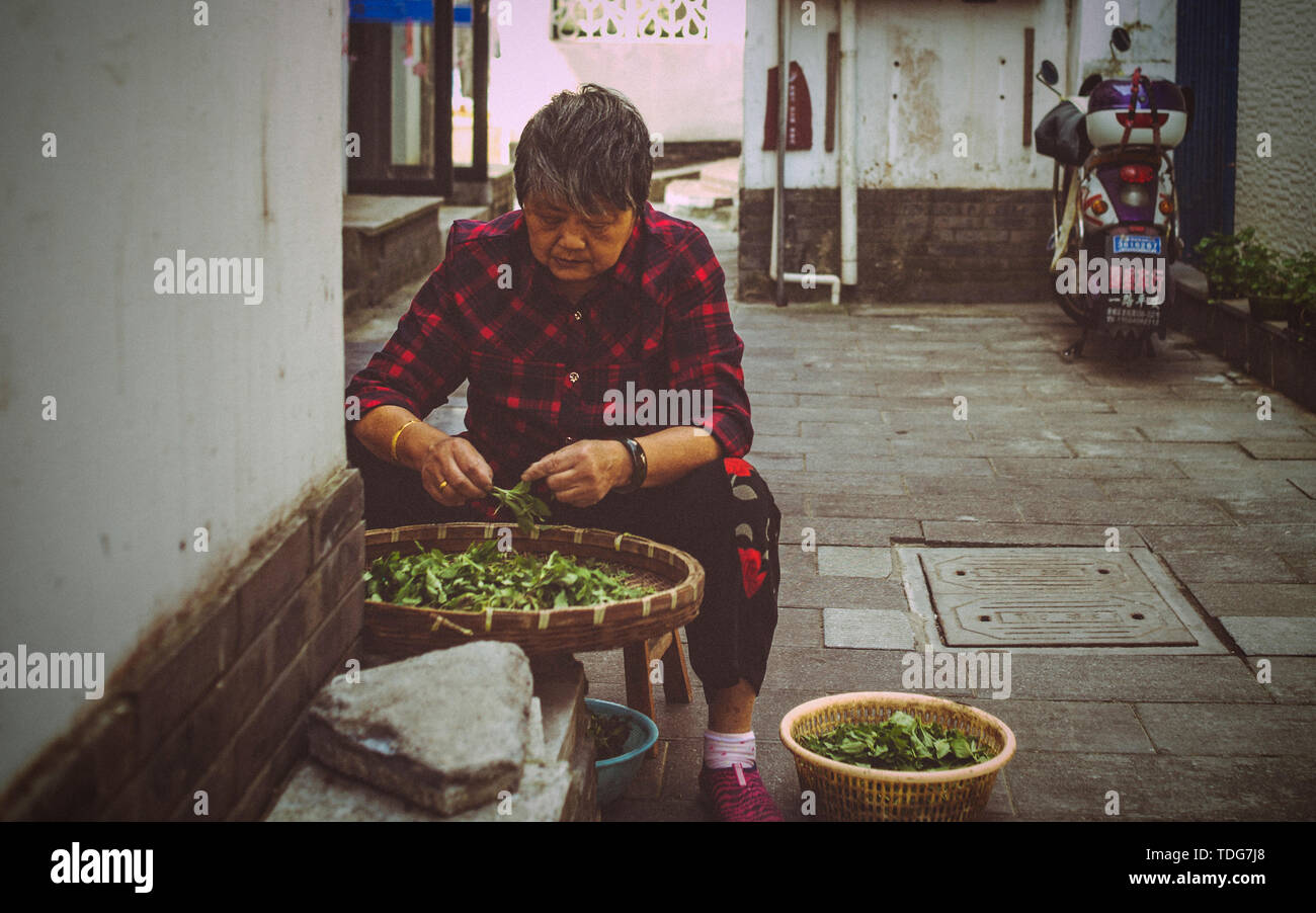 The old lady who picks up vegetables Stock Photo - Alamy