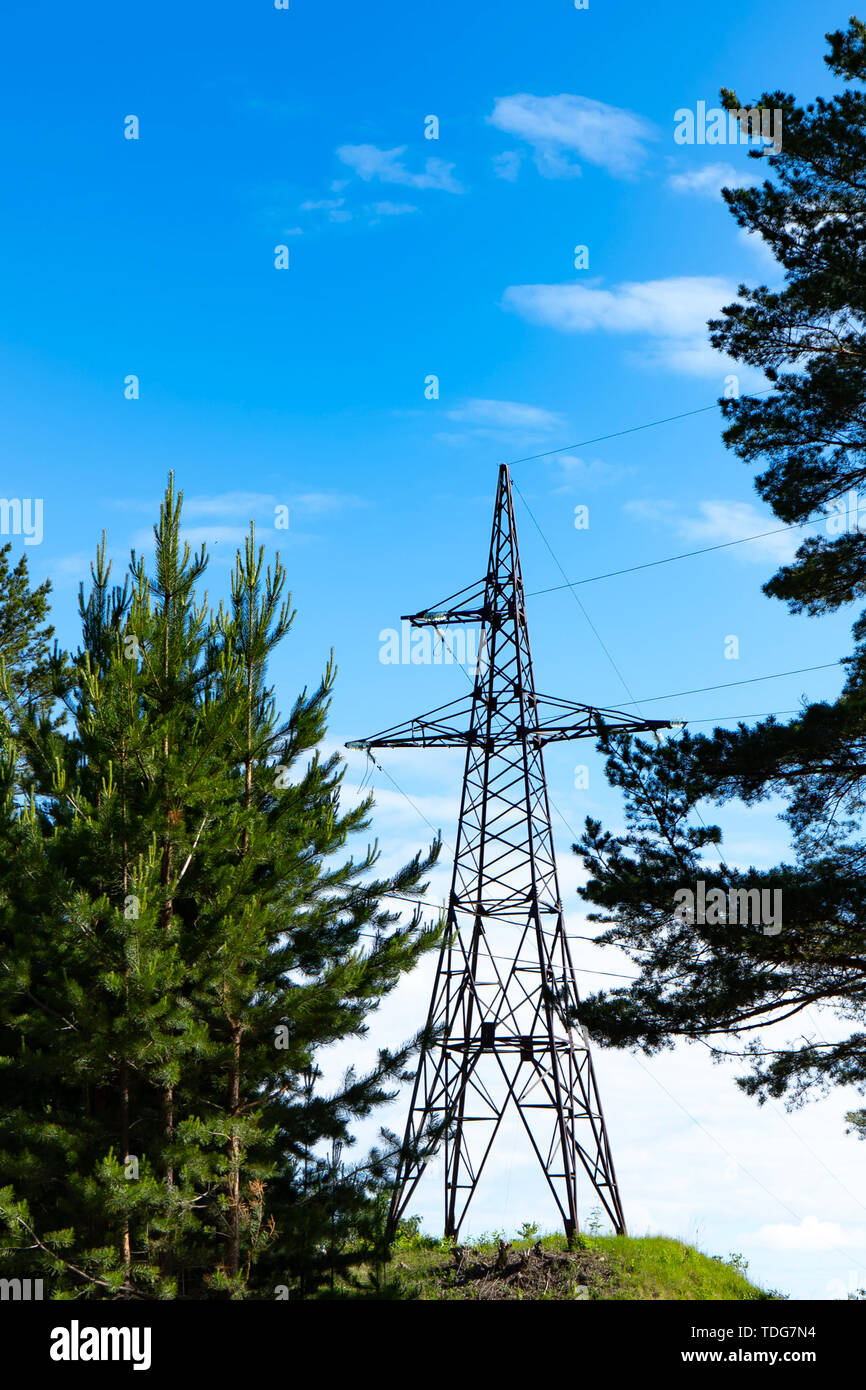 Electric supports in the forest. High-voltage power line. Electrical ...