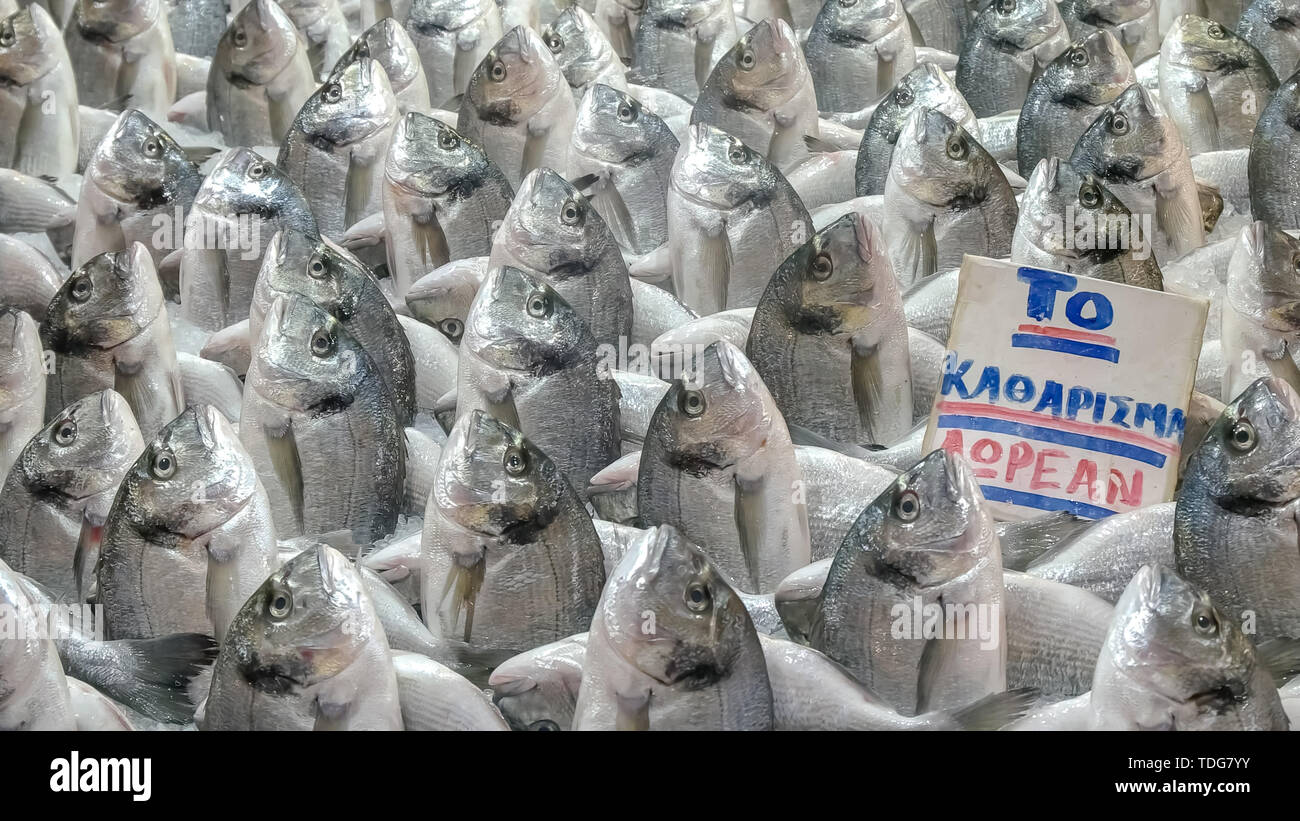 Athens central fish market hi-res stock photography and images - Alamy