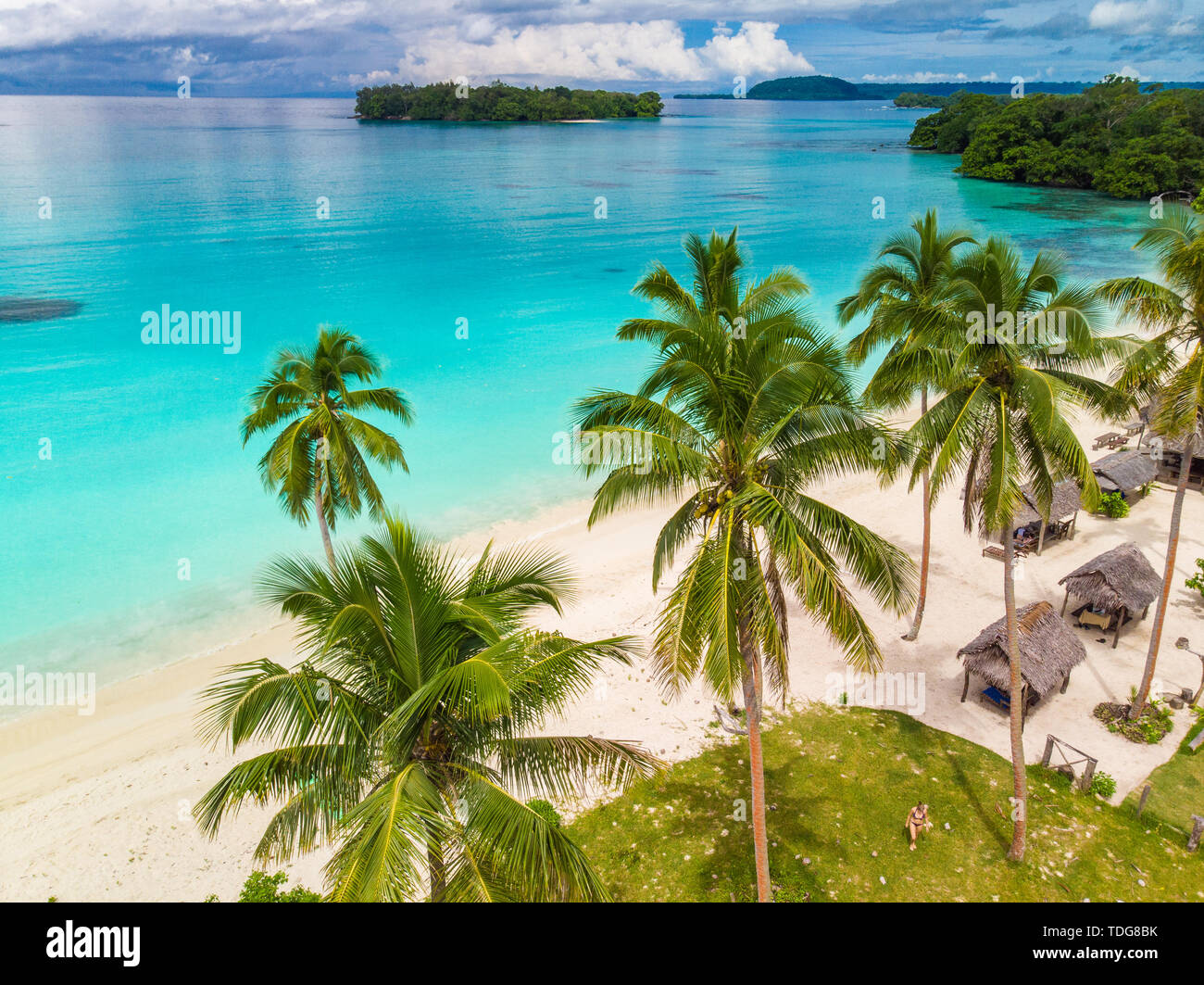 Amazing Port Orly sandy beach with palm trees, Espiritu Santo Island ...