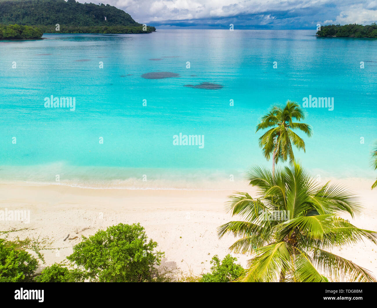 Amazing Port Orly sandy beach with palm trees, Espiritu Santo Island ...