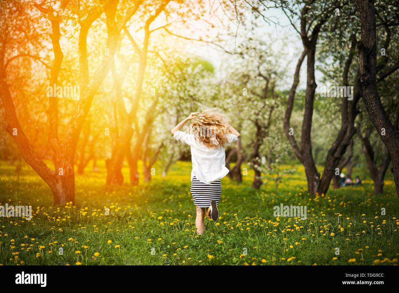portraits of a beautiful girl in spring park with trees in flowers ...