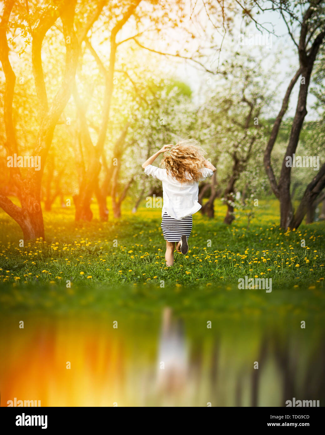 portraits of a beautiful girl in spring park with trees in flowers ...