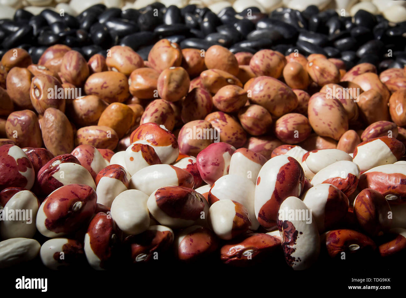 Mix of different in size and color of beans Stock Photo - Alamy