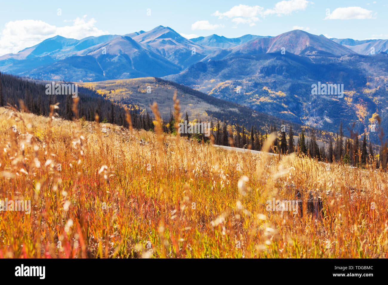 Late Autumn season in mountains Stock Photo - Alamy