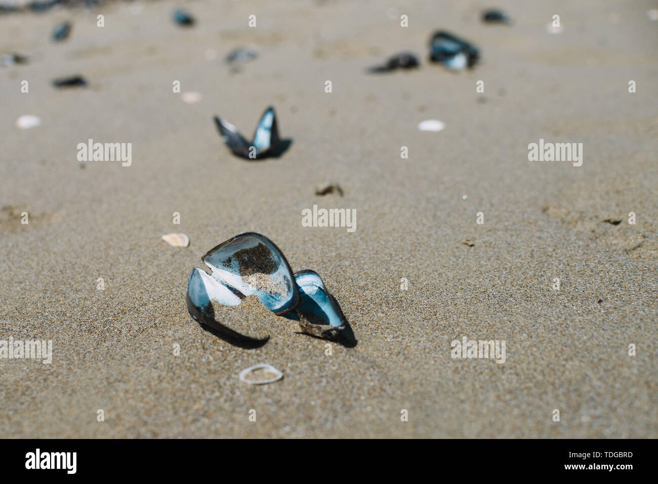 Storm clams hi-res stock photography and images - Alamy