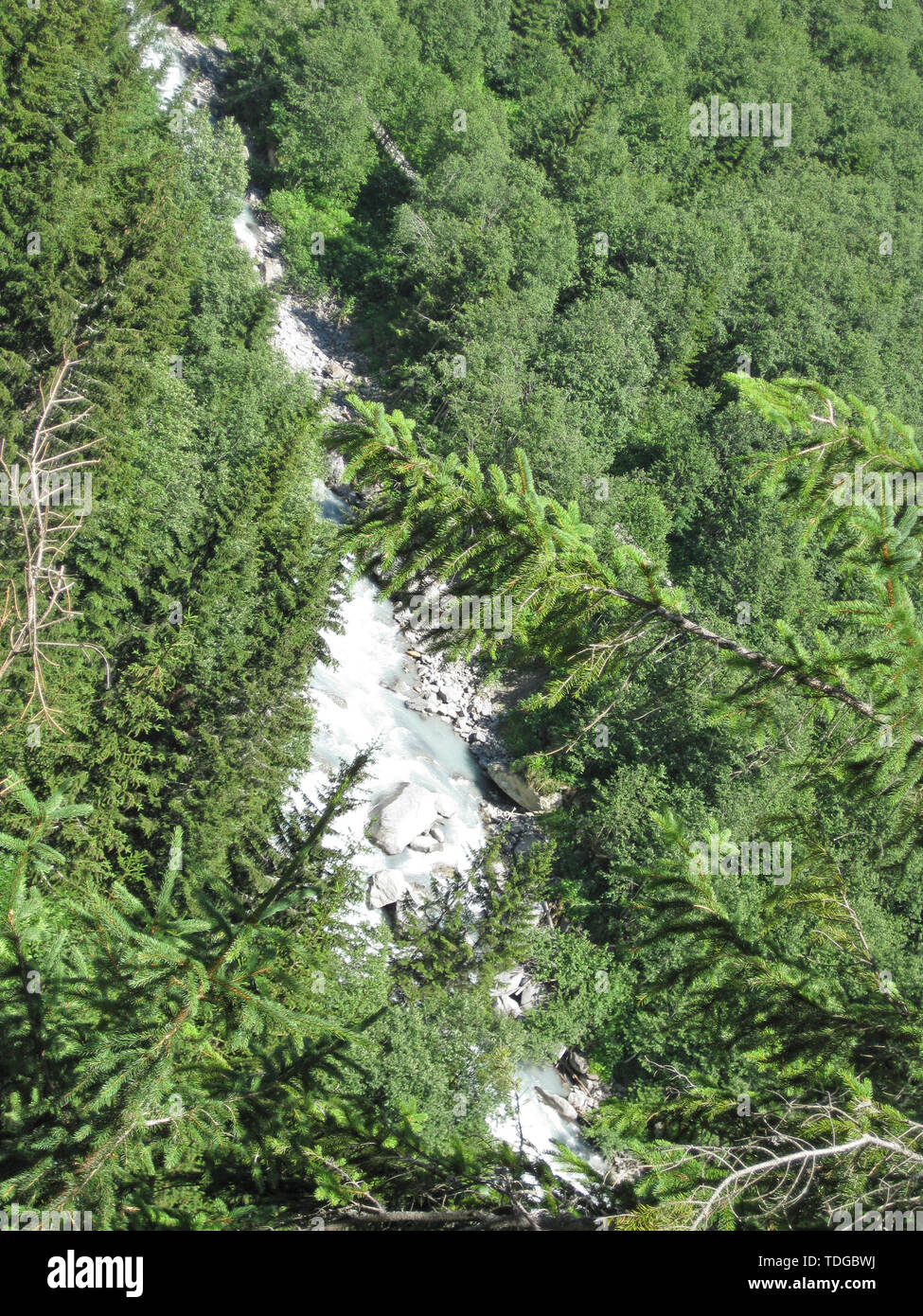 river crossing a forest on a sunny day Stock Photo - Alamy