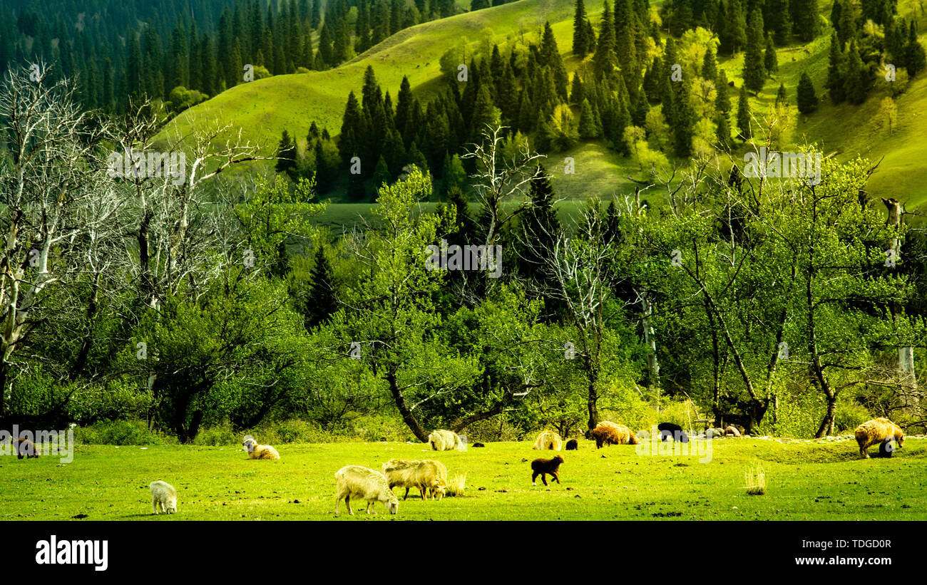The natural scenery Stock Photo - Alamy
