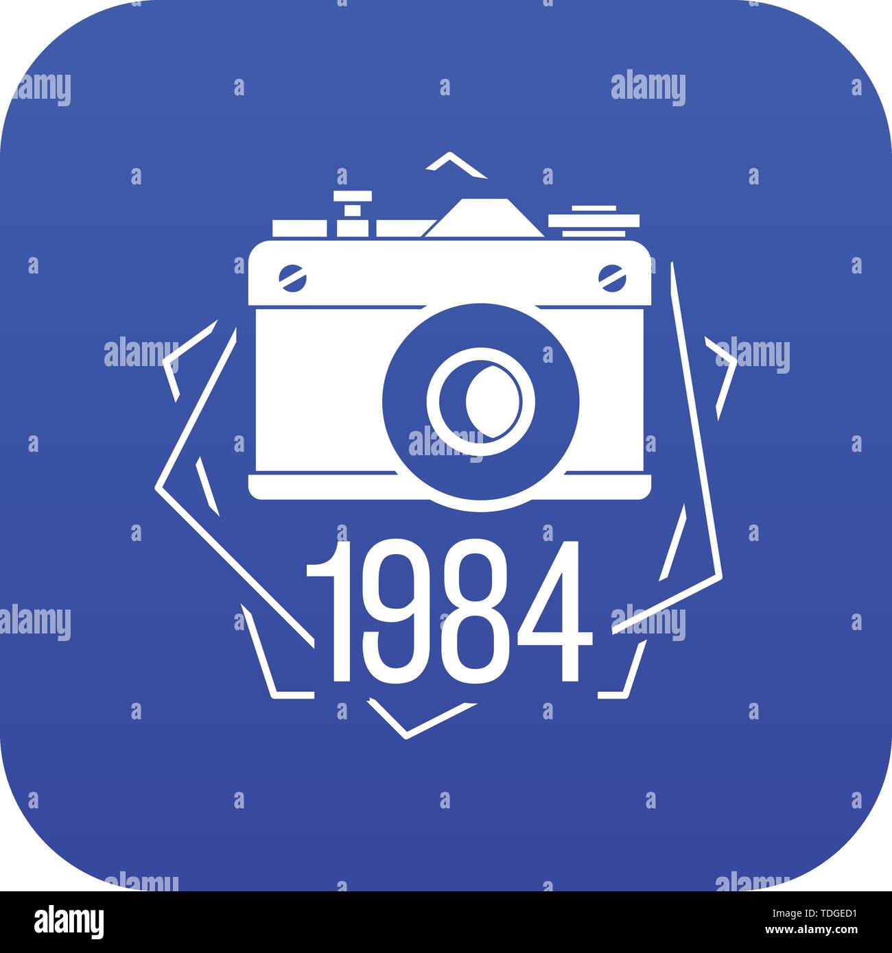 1984 photo camera icon blue vector Stock Vector Image & Art - Alamy