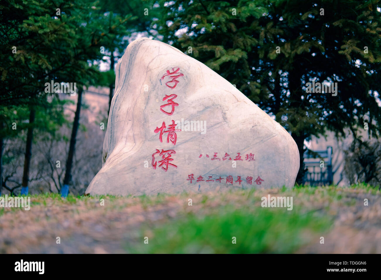 Four Seasons of Harbin University of Technology Stock Photo - Alamy