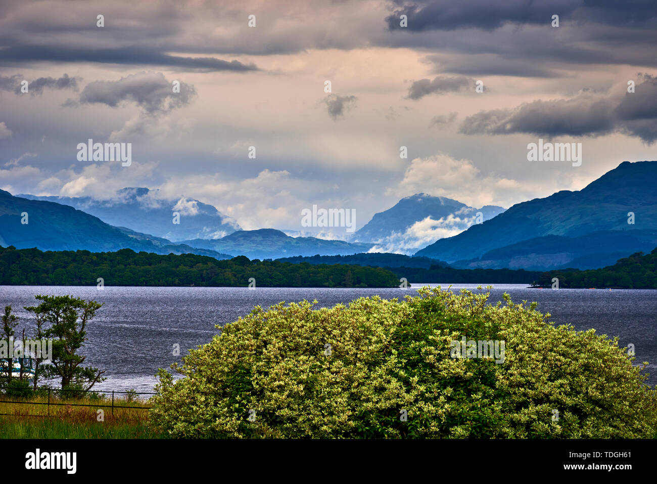 Ross priory lomond hi-res stock photography and images - Alamy