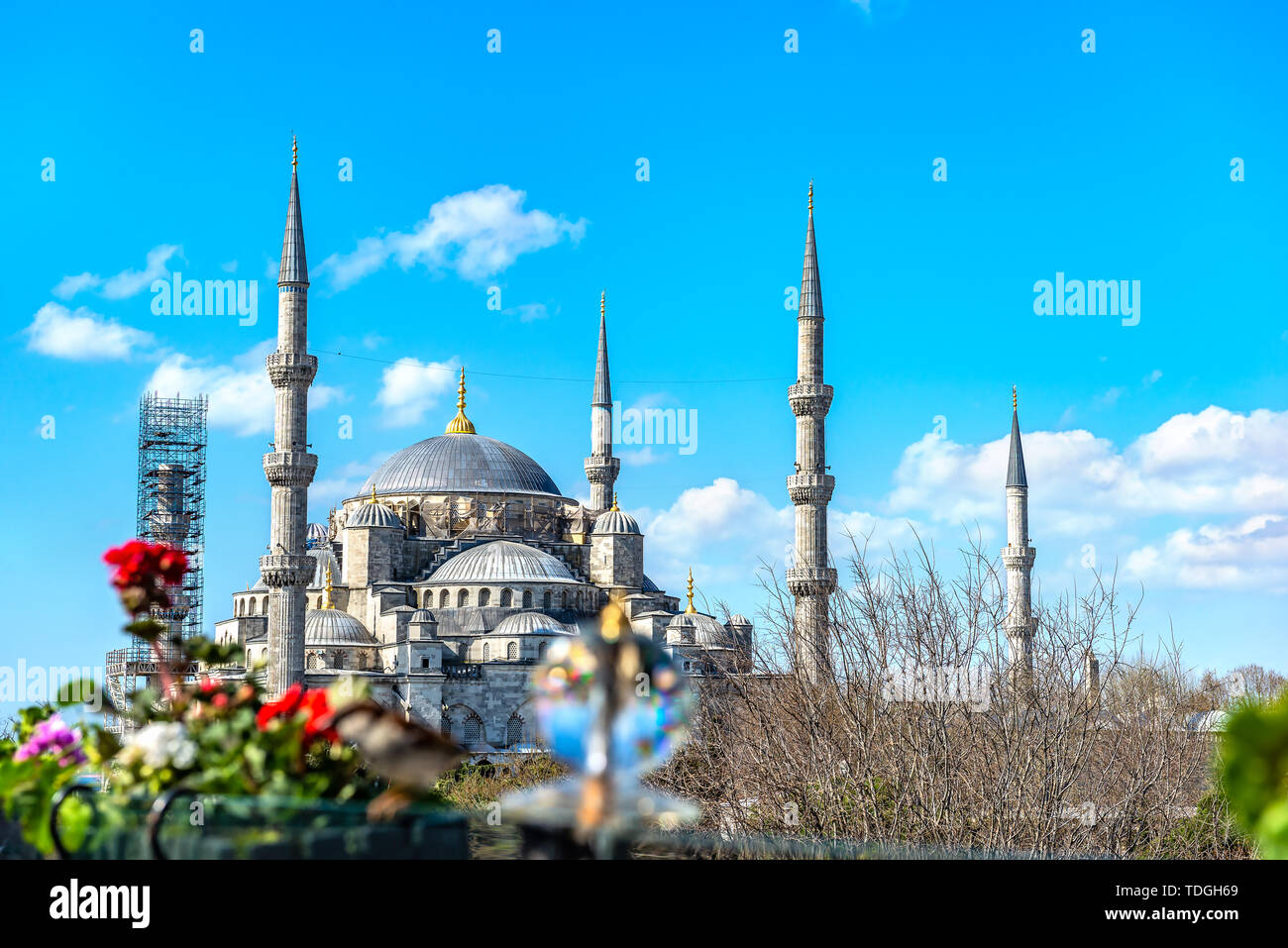 Blue Mosque in spring Stock Photo - Alamy