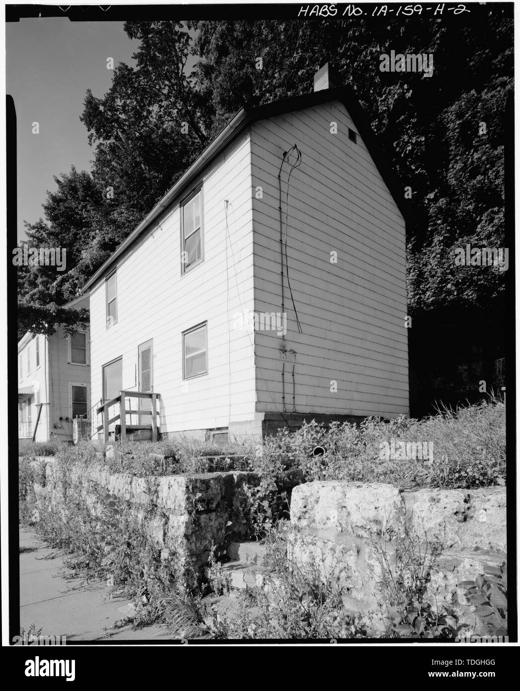 Front side view locust Black and White Stock Photos & Images - Alamy