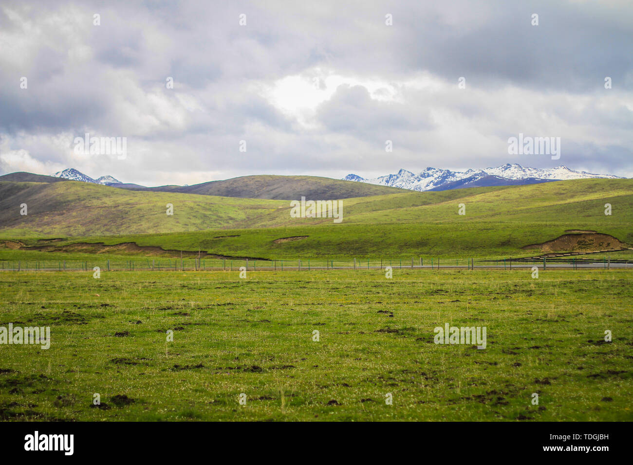 Plateau flower sea, Omutang flower sea Stock Photo - Alamy