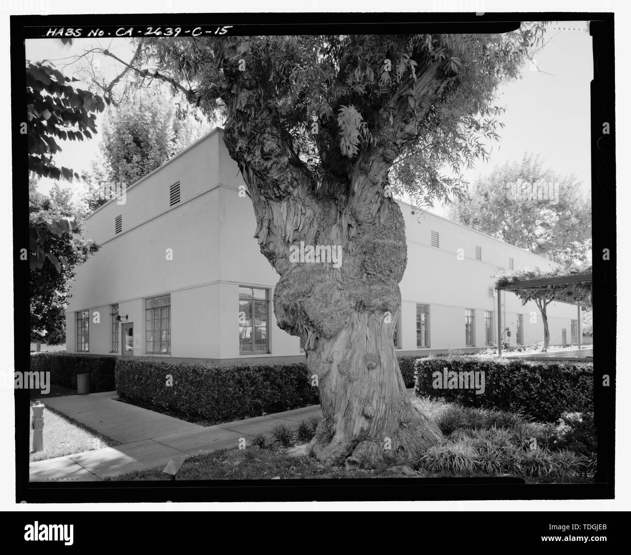 northeast corner view, facing southwest - Walt Disney Studios, Casting ...