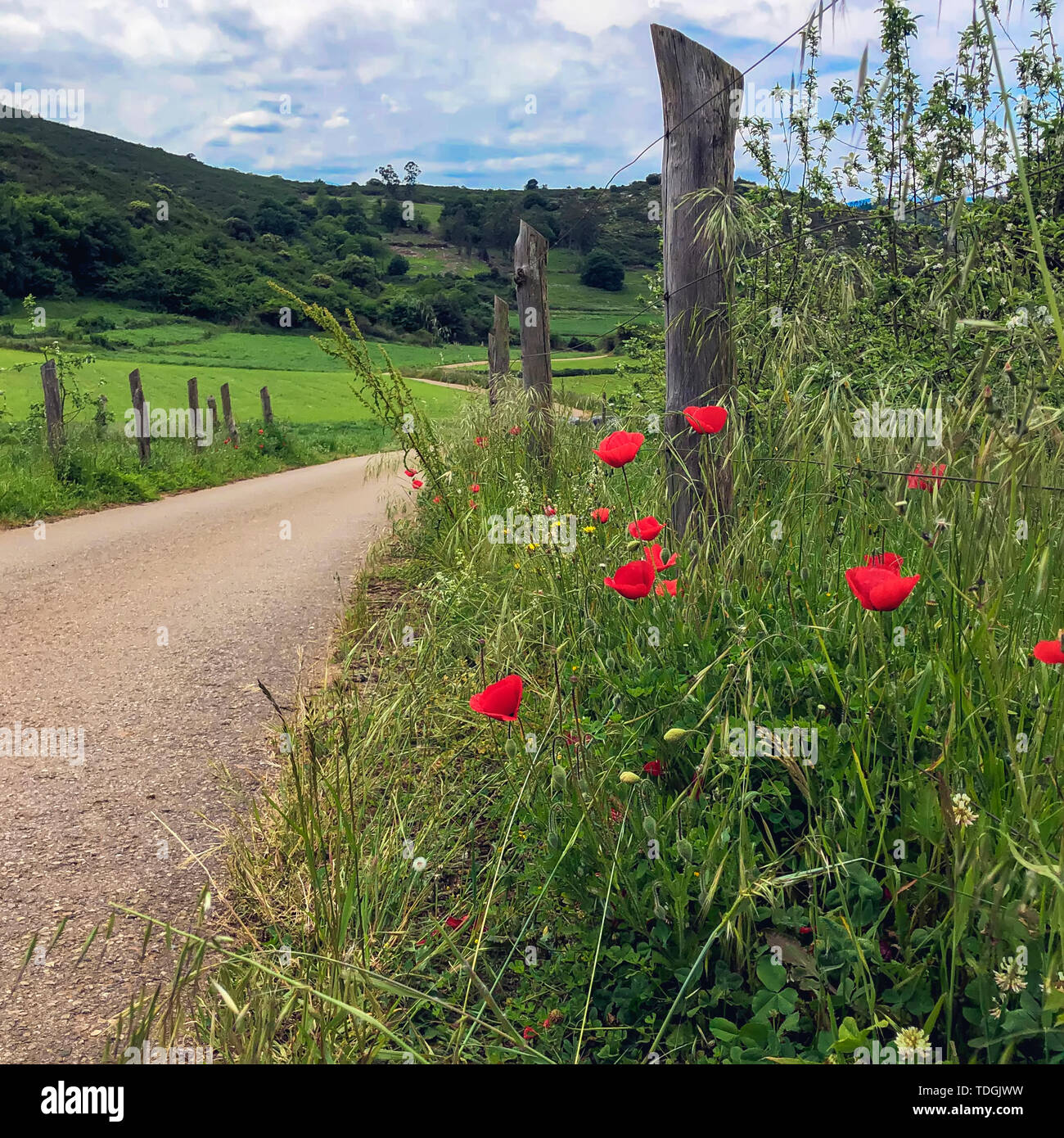 Rural footpath hi-res stock photography and images - Alamy