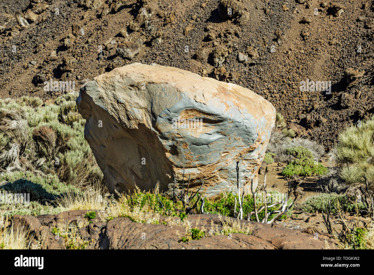Stony path at upland surrounded by Mountains and lava fields around ...