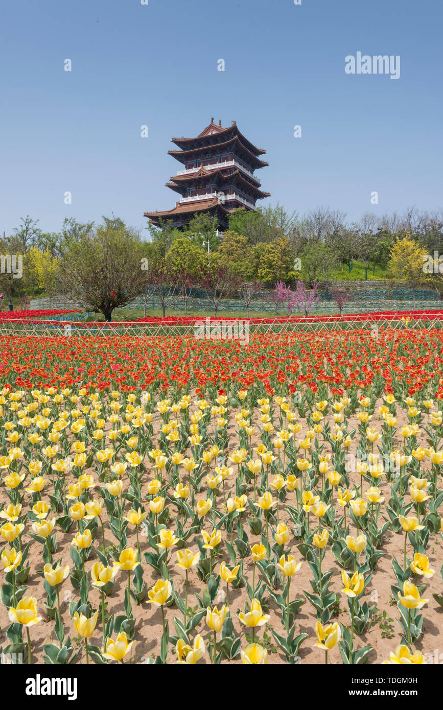 Landscape of Garden Expo Park in Zhengzhou, Henan Province Stock Photo ...