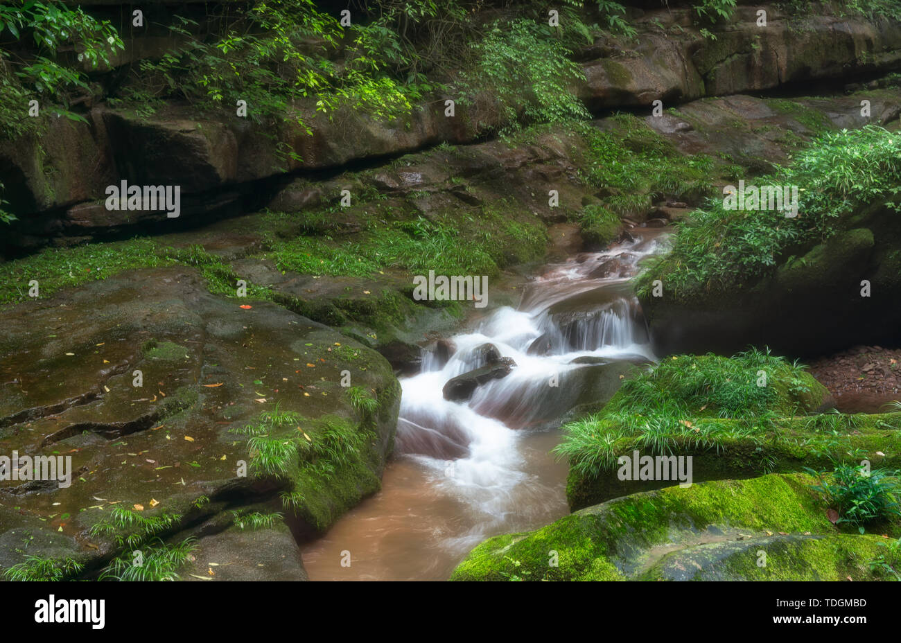 The scenery of the Bifengxia stream in Ya'an, Sichuan Stock Photo - Alamy