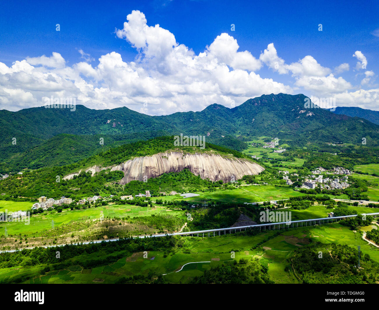 Spotted seal china hi-res stock photography and images - Alamy
