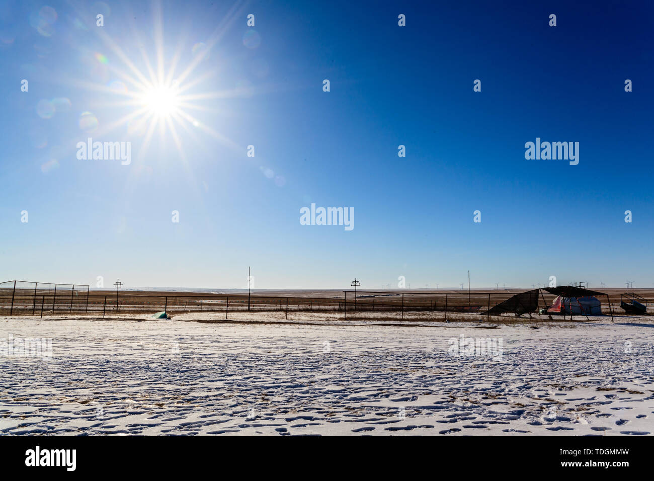 Hailar prairie tribe Stock Photo - Alamy