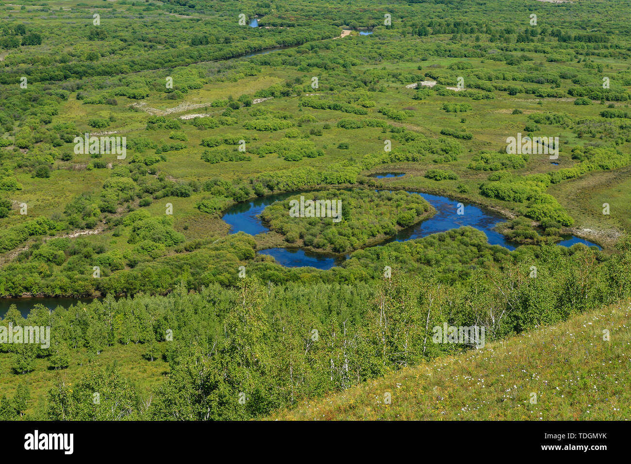 Scenery of Genhe Wetland in Xinjiang Stock Photo - Alamy