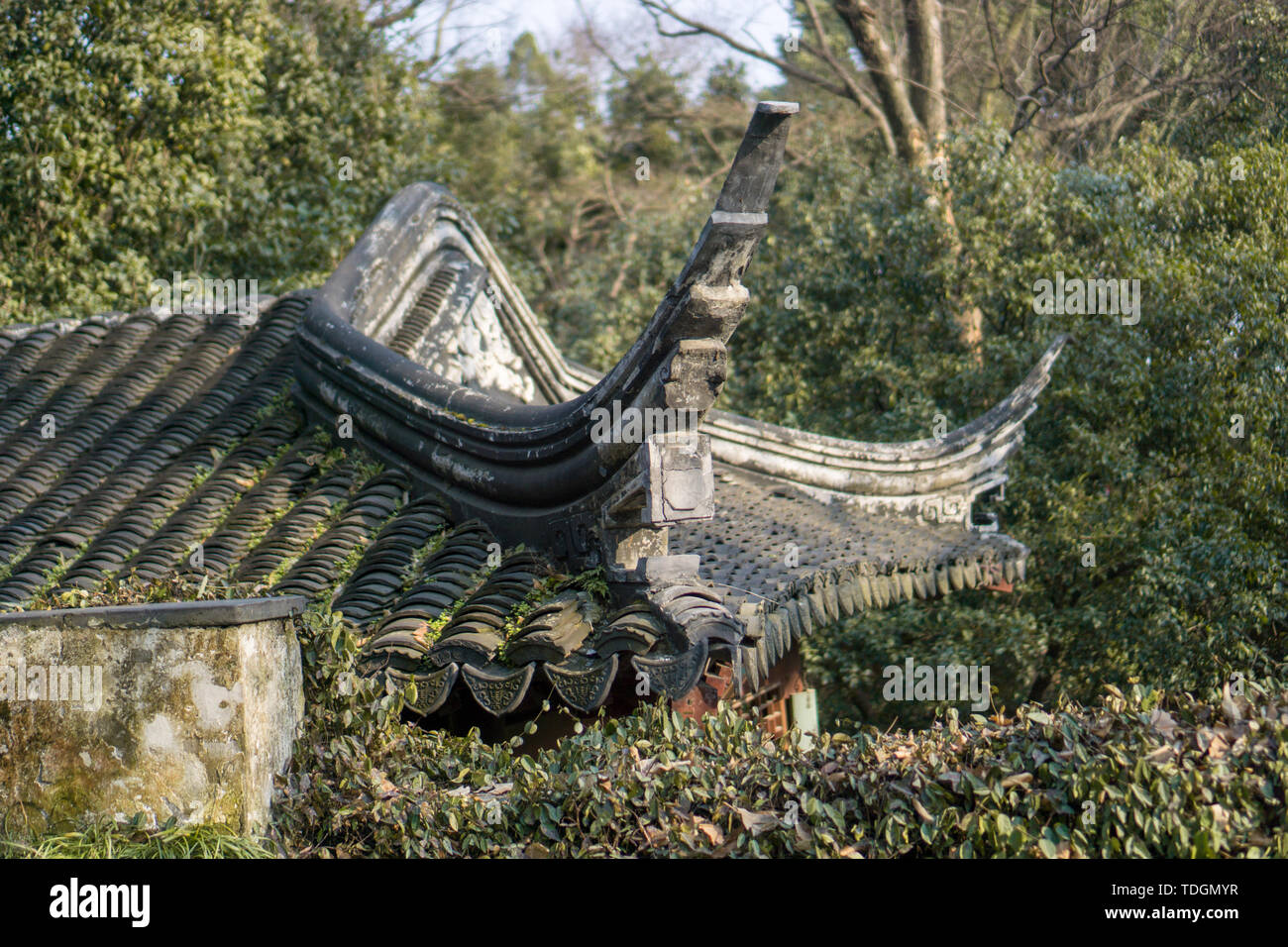 Tiger hill scenic area hi-res stock photography and images - Alamy