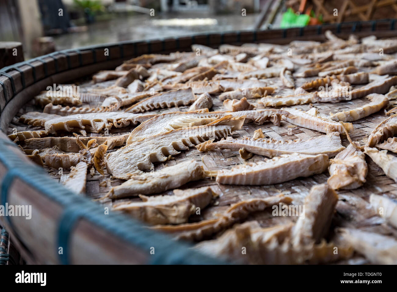 Dried bamboo shoots in the sun Stock Photo - Alamy
