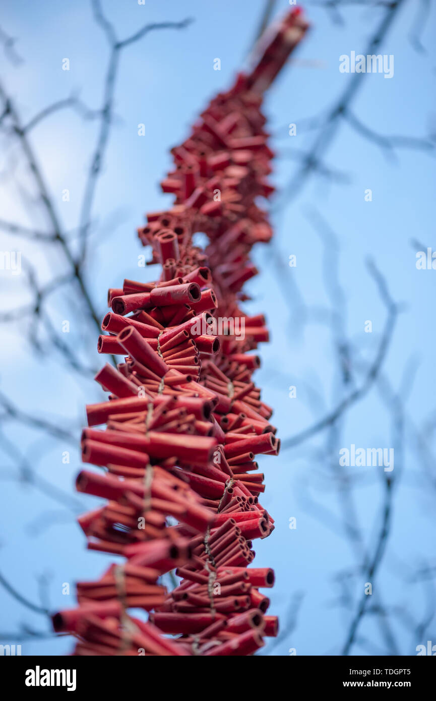 Firecrackers for the Spring Festival Stock Photo - Alamy
