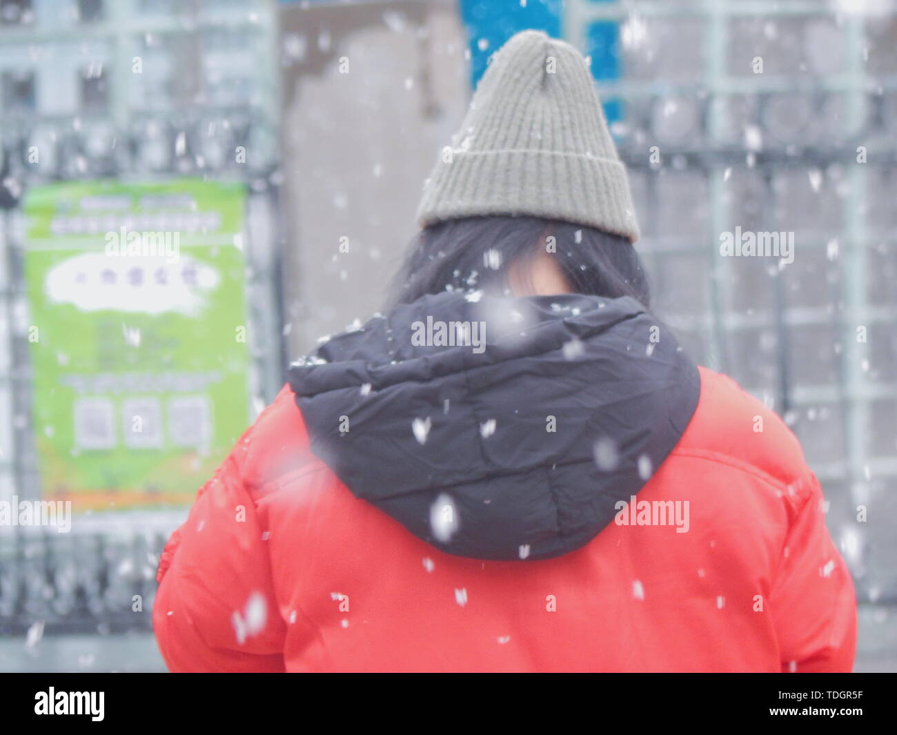 A snowy portrait Stock Photo - Alamy